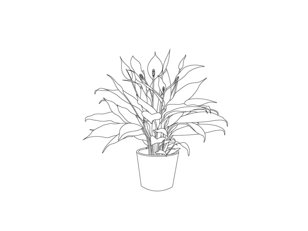 A botanical illustration of flowers, plants, line art | Upwork