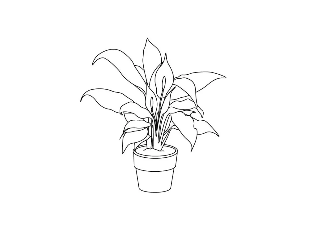 A botanical illustration of flowers, plants, line art | Upwork