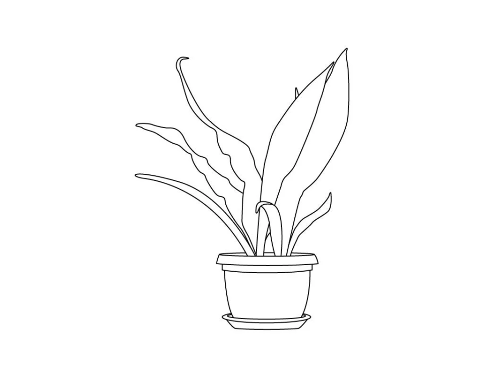 A botanical illustration of flowers, plants, line art | Upwork