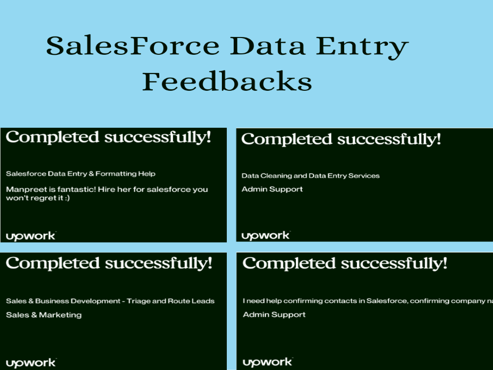 A Salesforce CRM Data Entry Expert For All Your Salesforce Admin Tasks ...