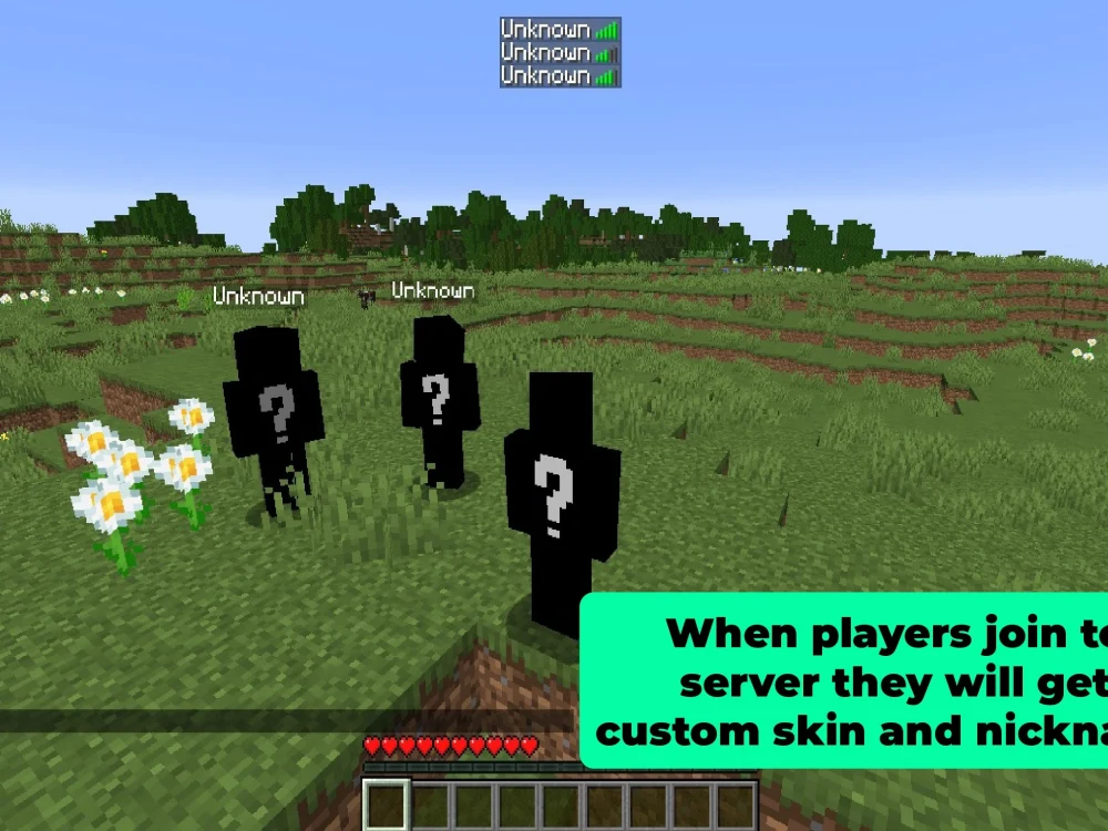 A custom minecraft spigot or bukkit plugin | Upwork