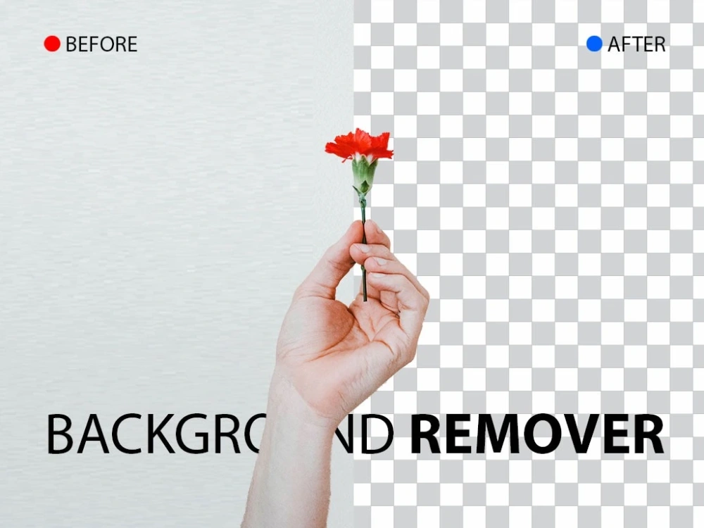 Clean image without background | Upwork
