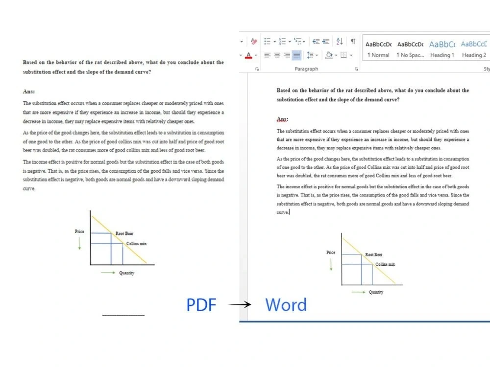 Pdf conversion, copy paste, typing within 24 hours | Upwork