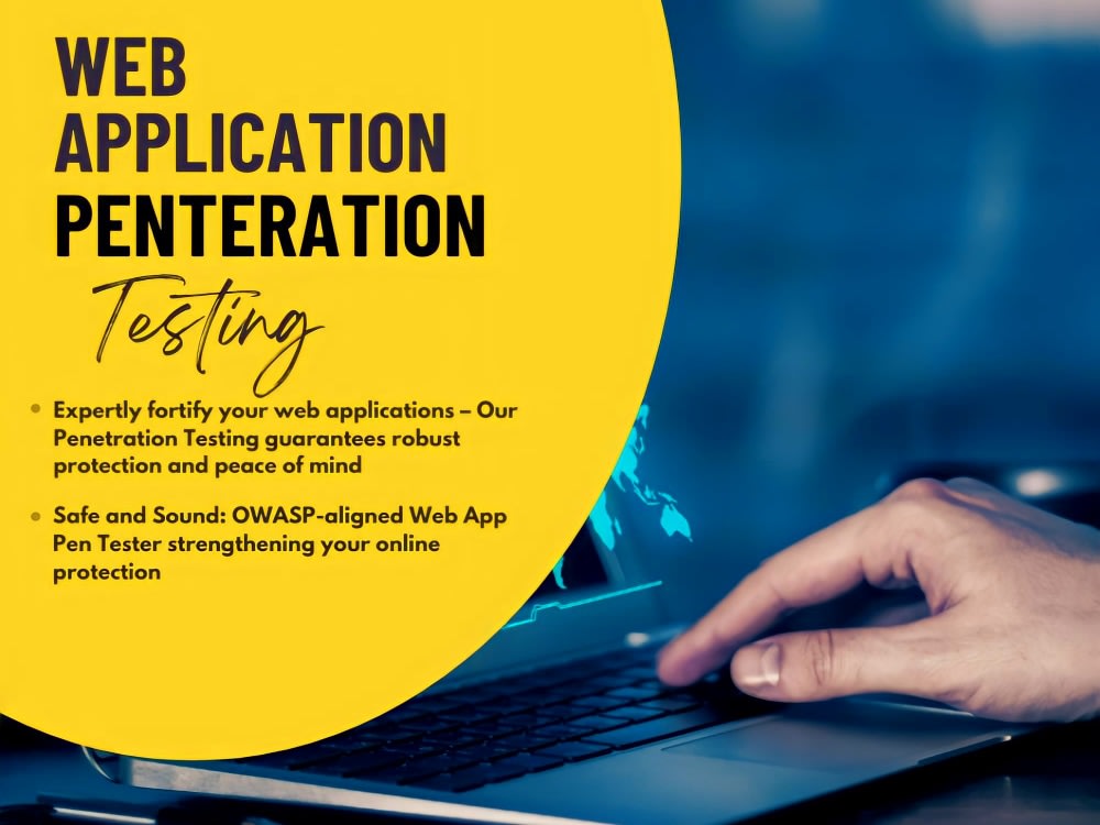 Professional Web Application Penetration Testing Following Owasp Top 10