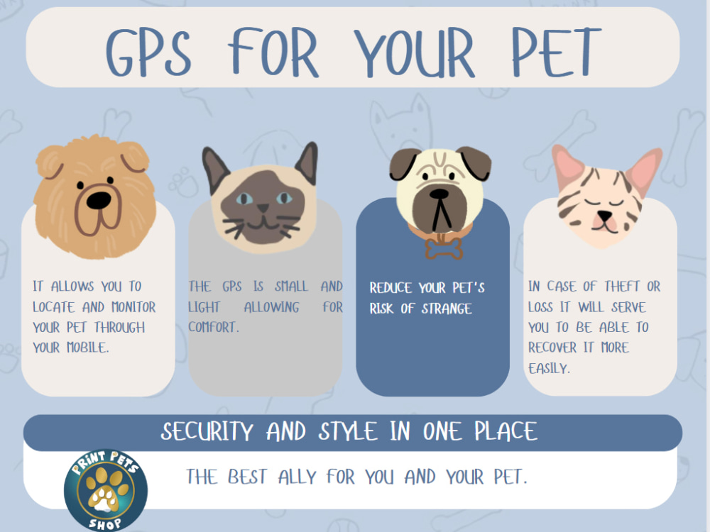 Administrative support ‖ Virtual assistant ‖ Databases | Upwork