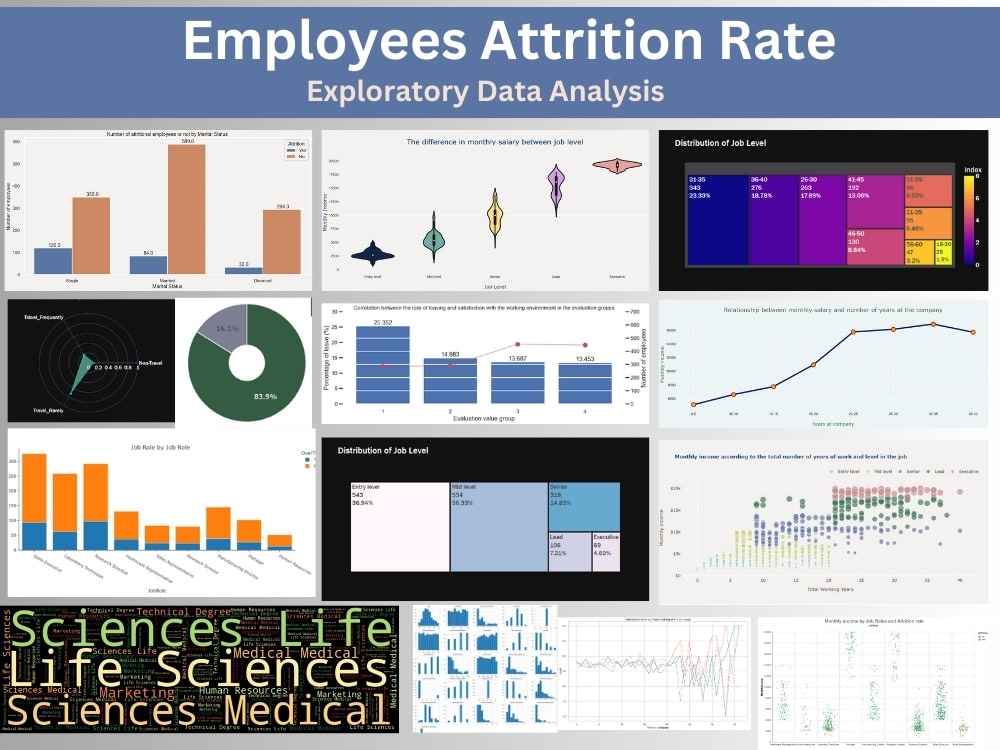 Python Data Analysis, Statistical Analysis, Data Visualization ...