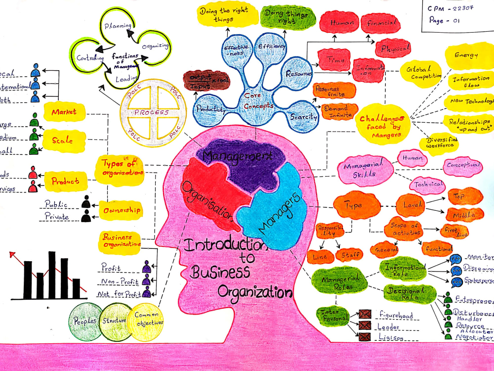 A colourful hand-drawn mind or concept map within one day | Upwork