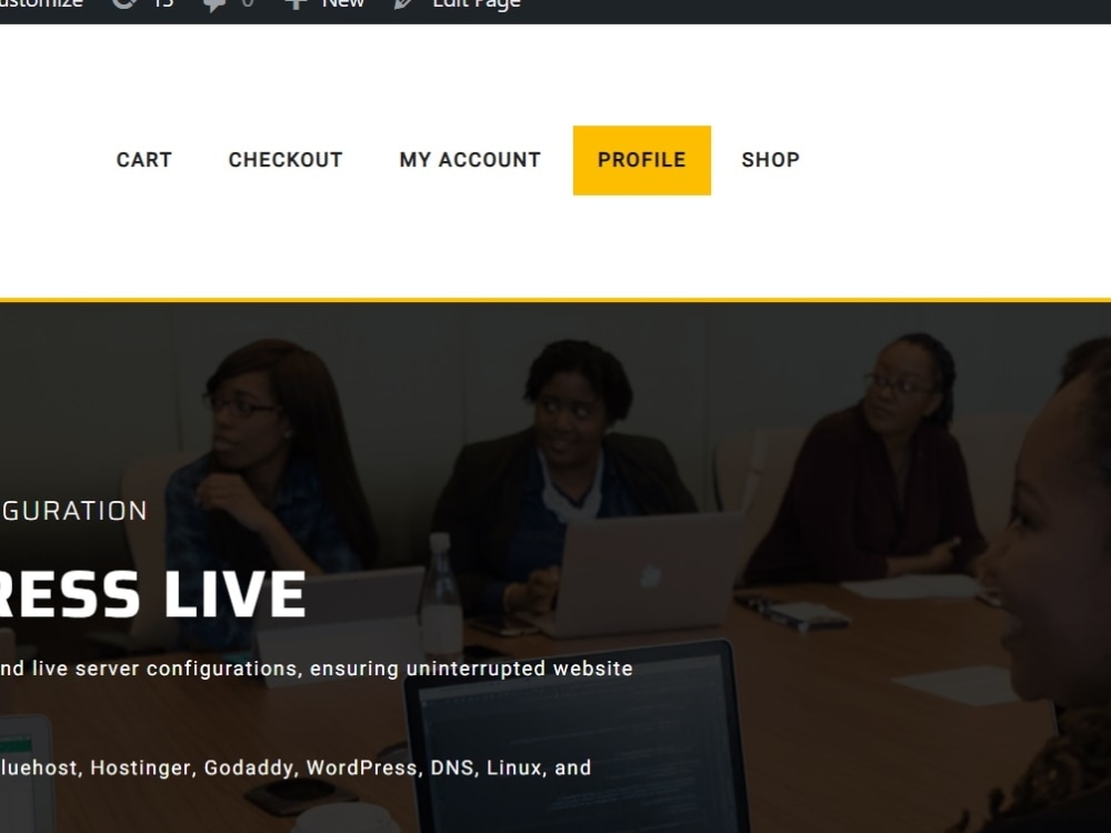 Portfolio and Ecommerce/WooCommerce WordPress Website | Upwork