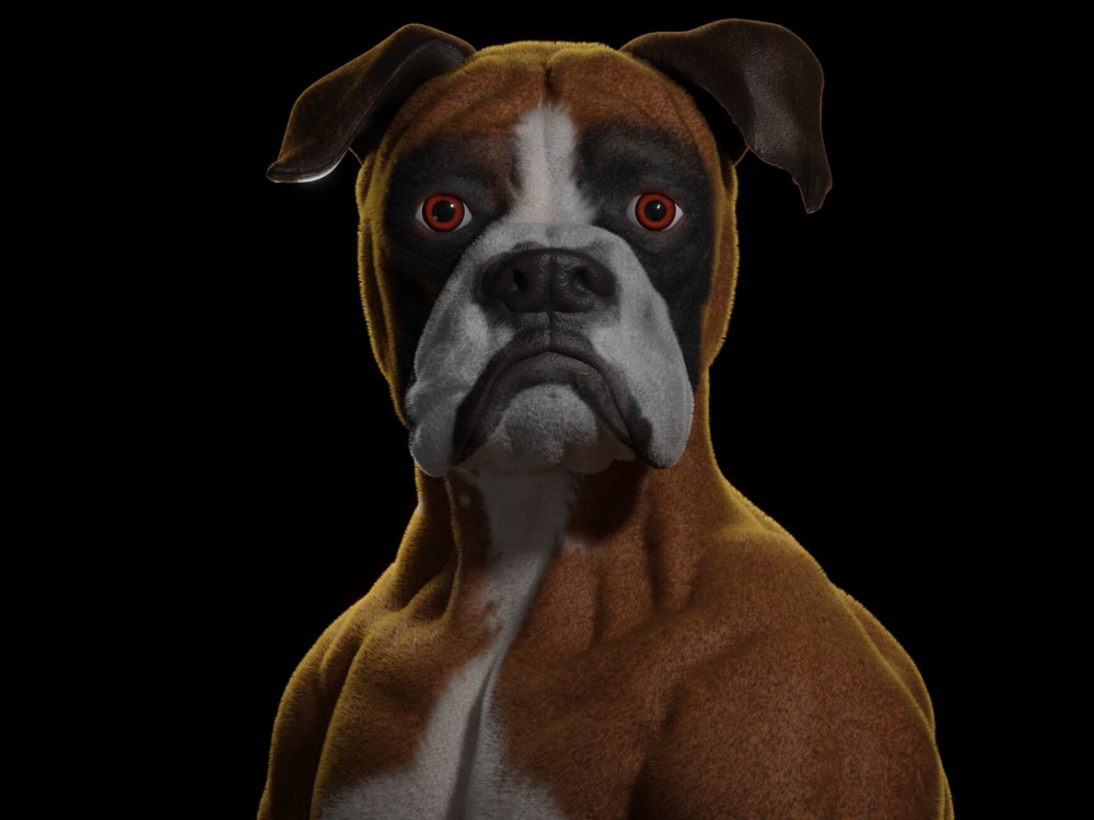 A fantastic 3d Character Animation and 3D character modeling and ...