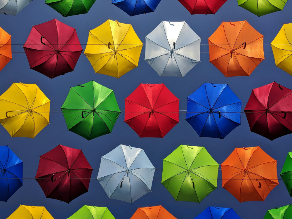 Custom taylor made website | Upwork