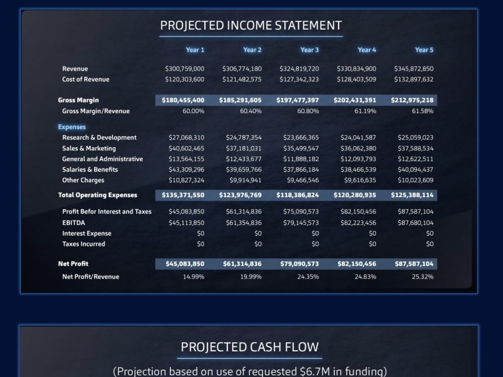 A comprehensive business plan and financial model tailored to your ...