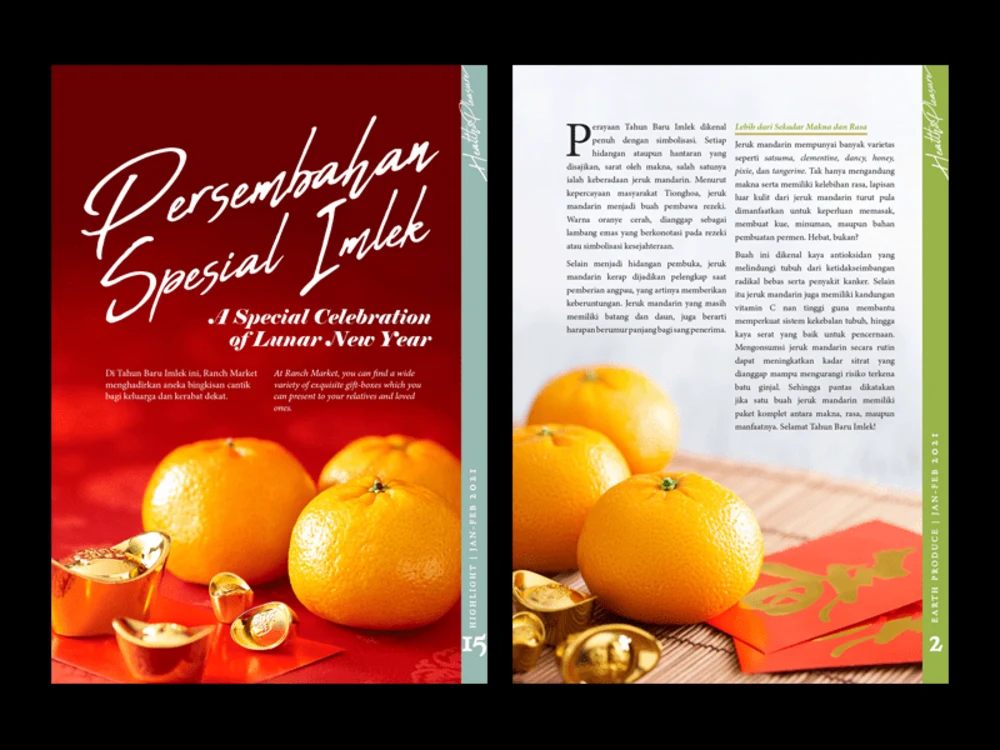 Professional Design and Layout for a Print Publication | Upwork