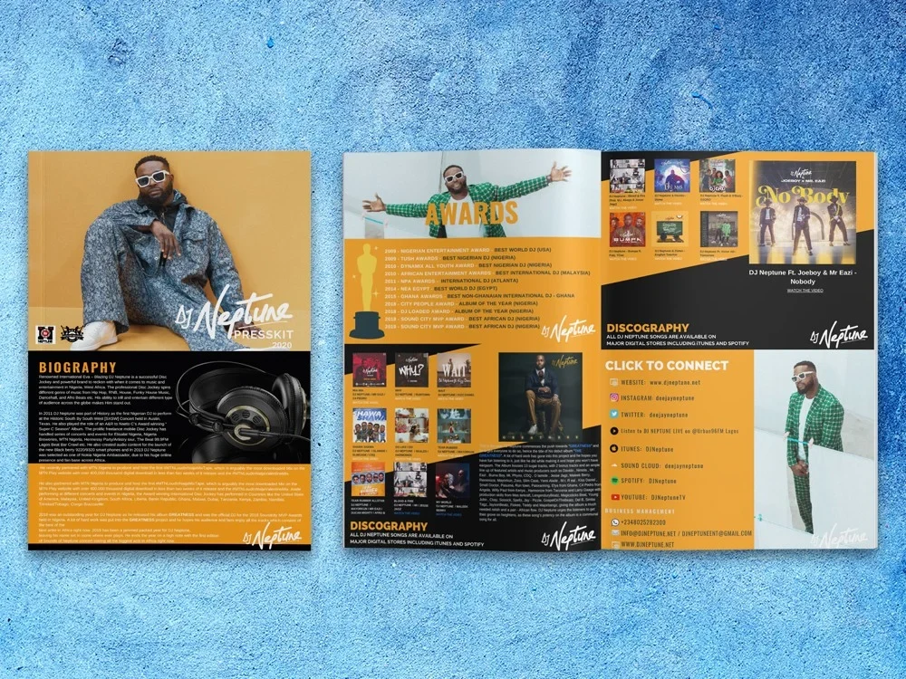 An artist EPK & Electronic Press Kit | Upwork