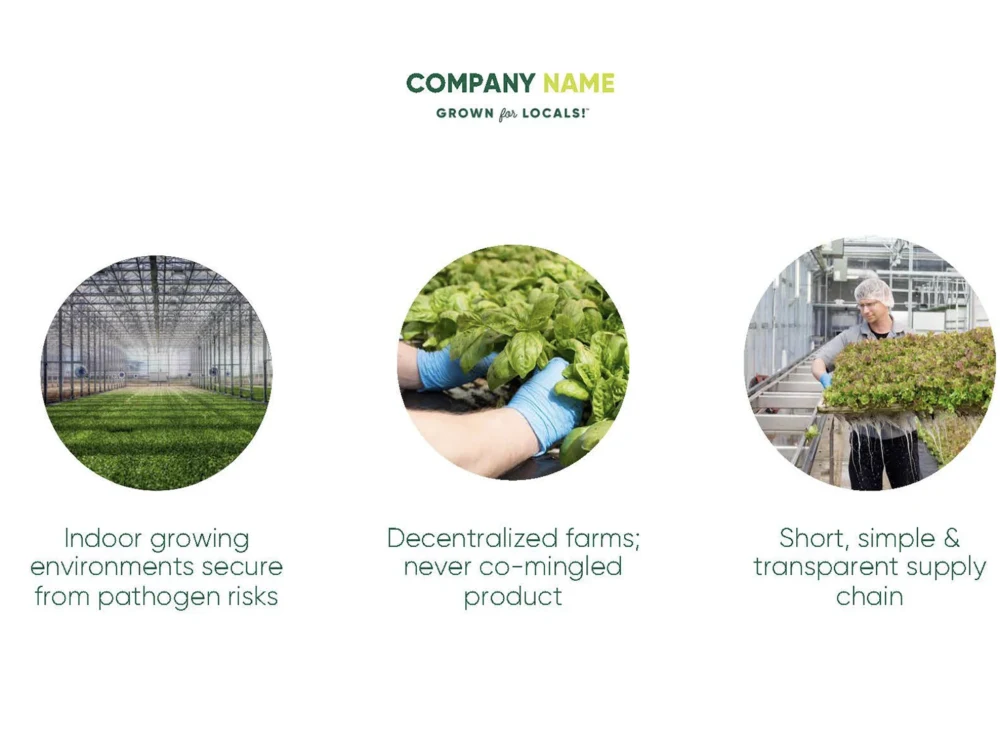 A high-level presentation design with functioning masters for easy ...