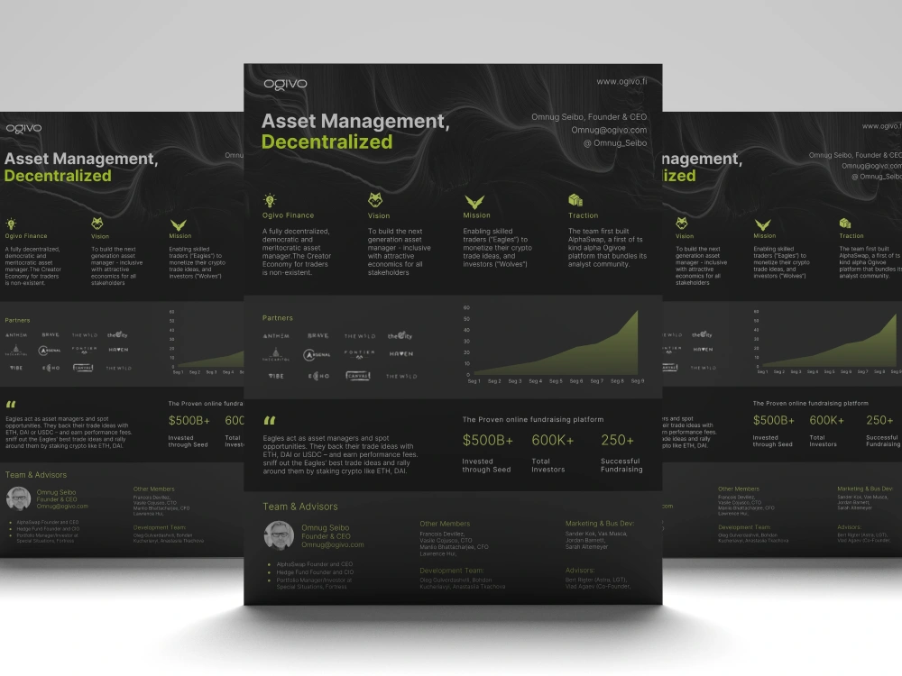 Professionally designed one-pager, executive summary, or investment ...