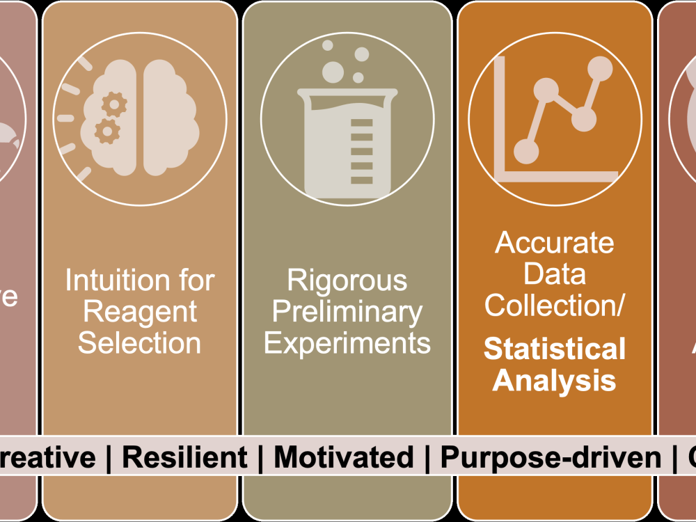 A succinct report answering your research question | Upwork