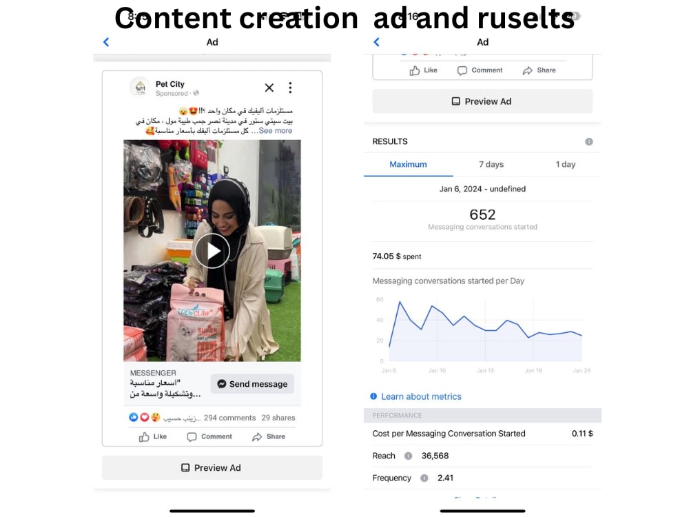 Facebook ads expert, Facebook ad setup & management, Instagram ad set ...