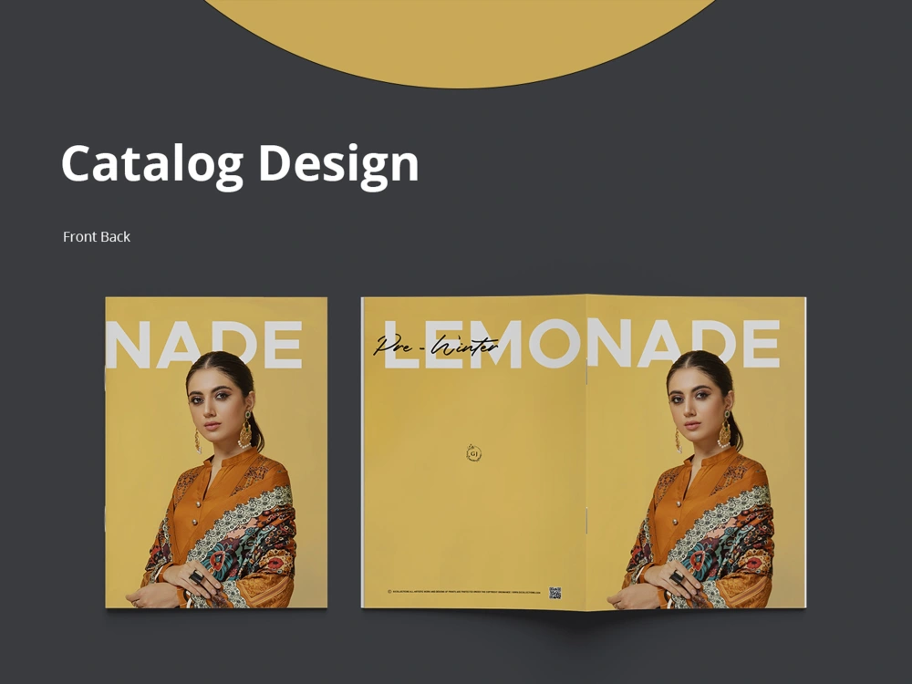 Professional product catalog/ booklet/ magazine/ brochure for your ...