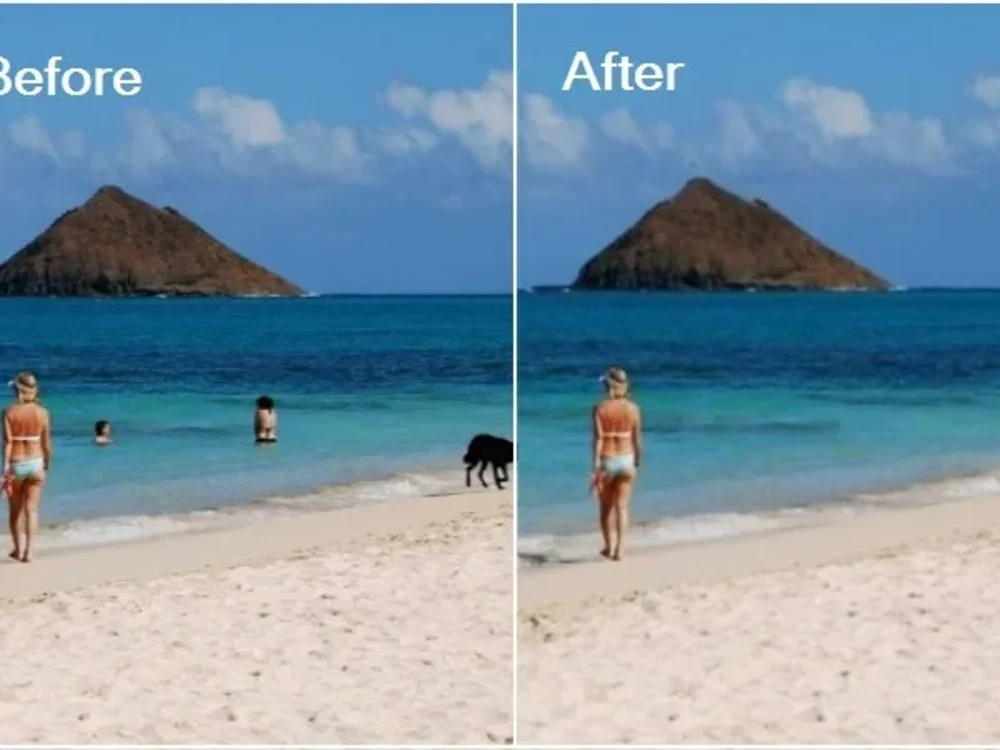 Photos without backgrounds or I can change background | Upwork