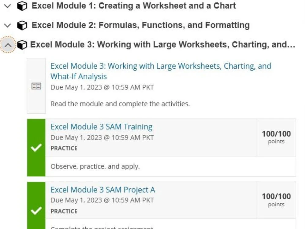 All SAM Cengage projects in MS Office, Excel, Word, PPT, urgently | Upwork