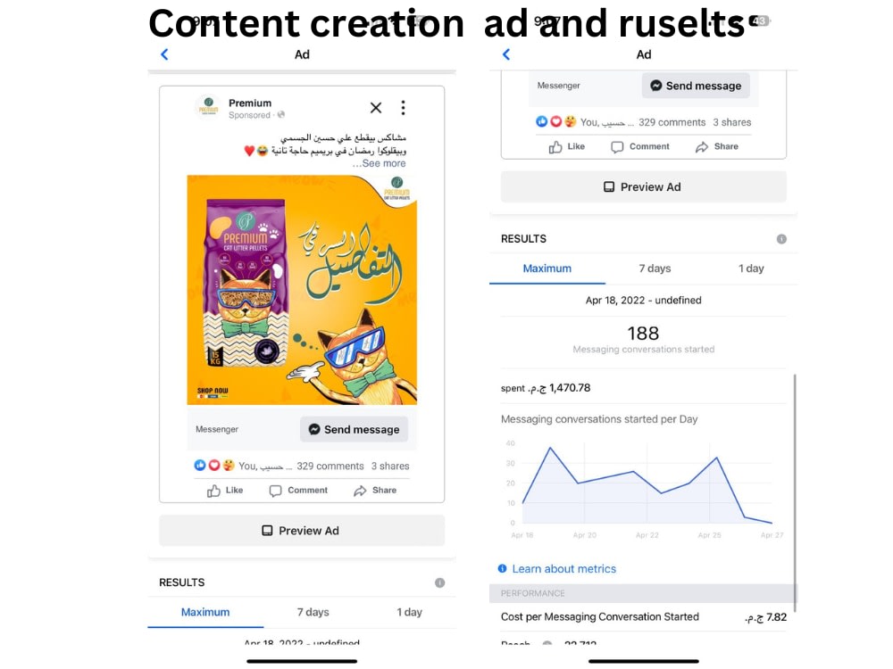 Facebook ads expert, Facebook ad setup & management, Instagram ad set ...