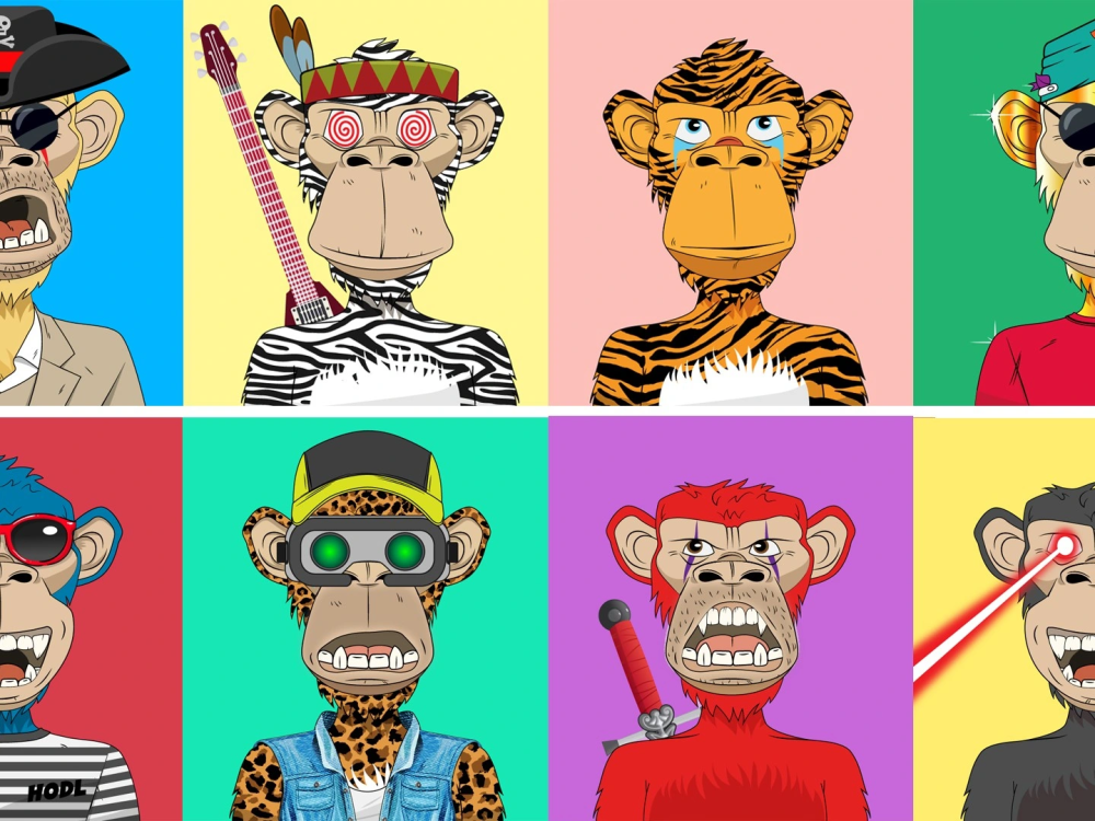 Professional NFT Collection with rarity | Upwork