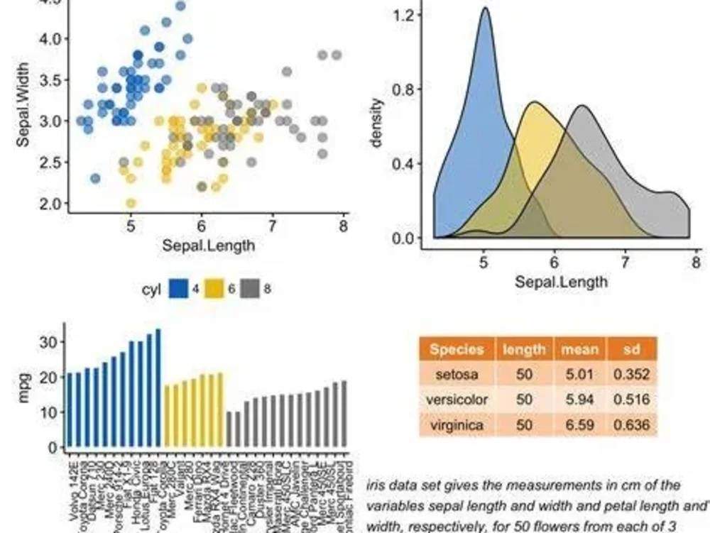 Data visualization for your data using ggplot2 - R | Upwork