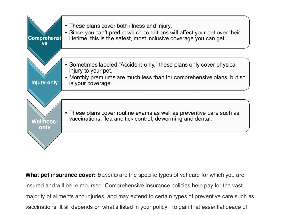 A detailed Business Proposal with Business Strategies | Upwork