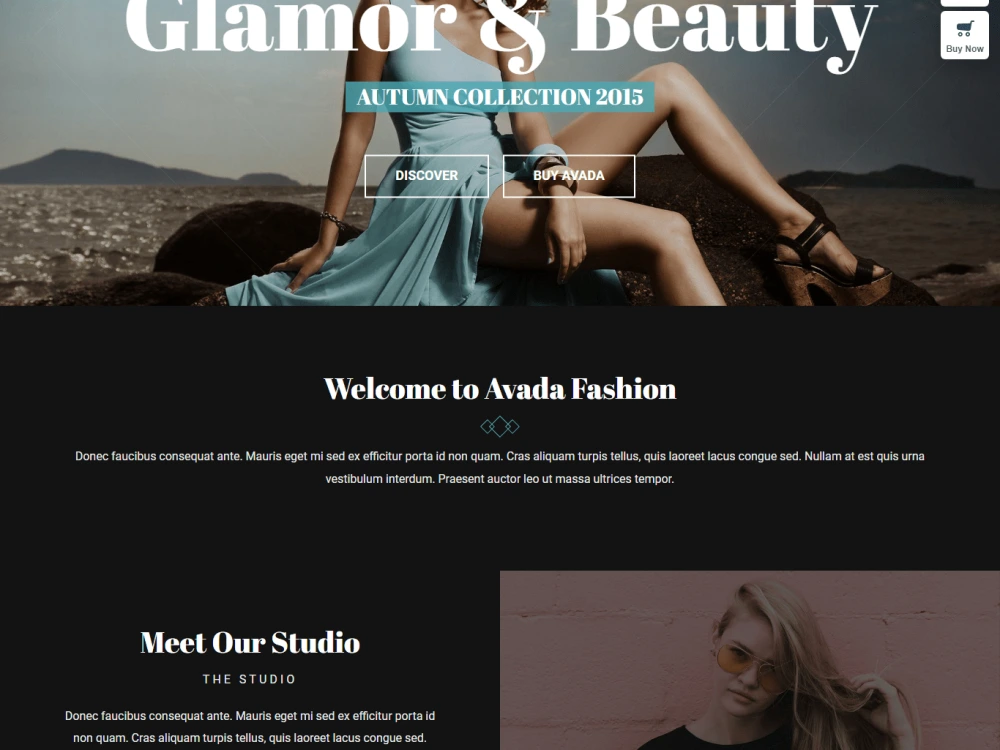 Avada Theme Installation Fix And Customization Of The Wordpress