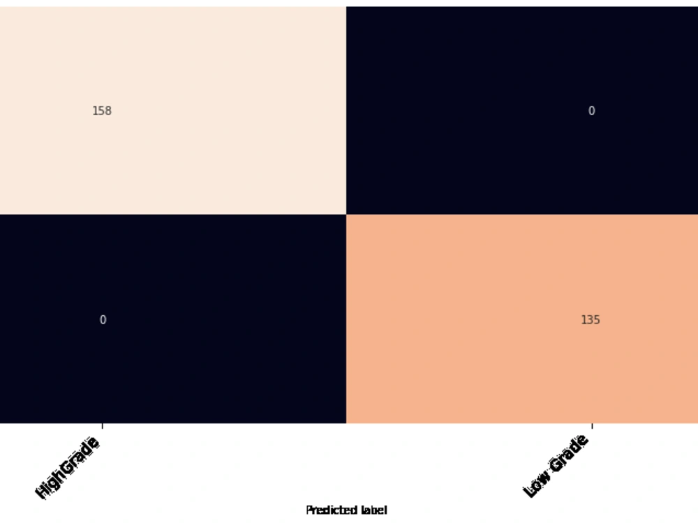 Deep Learning Classification Object Detection Computer Vision Projects Upwork