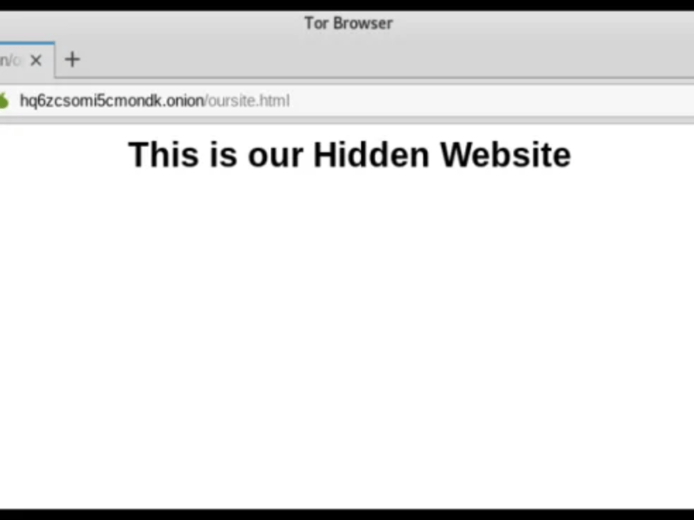 Your Onion website deployed on Tor network | Upwork