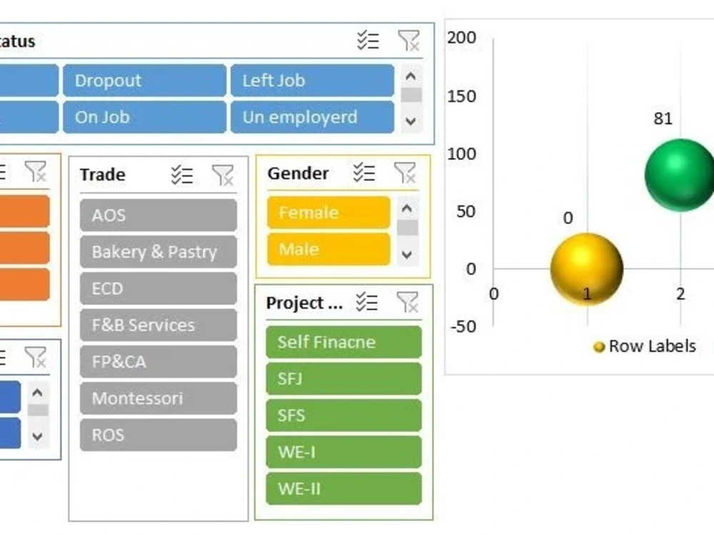 Manage your data, through excel dashboard / visualization | Upwork