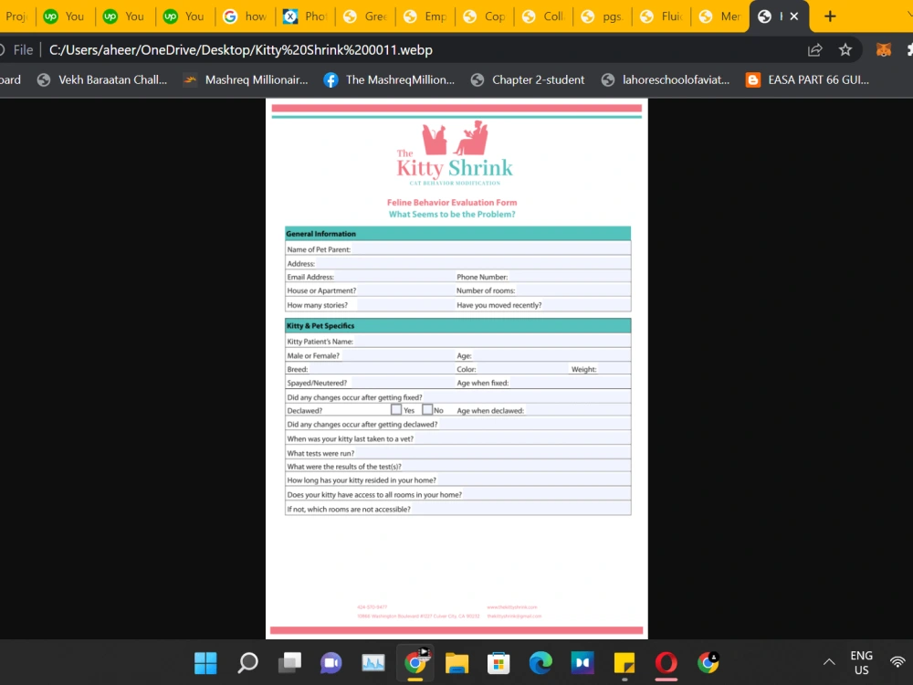 Professional Fillable PDF Form, Editable PDF Form, Searchable PDF | Upwork