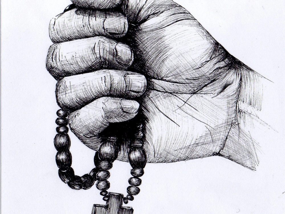 A beautiful realistic hand-drawn pen and ink illustration | Upwork