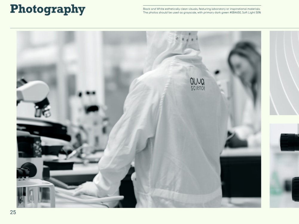 Your brand elevated with targeted identity | Upwork