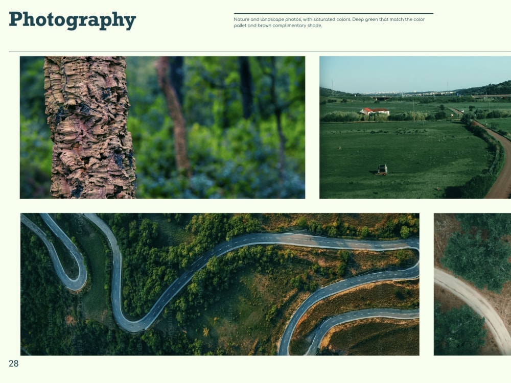 Your brand elevated with targeted identity | Upwork