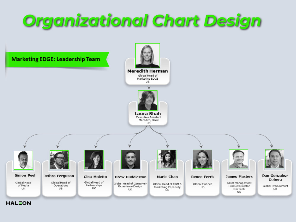 Organizational Chart Design Professionally | Upwork