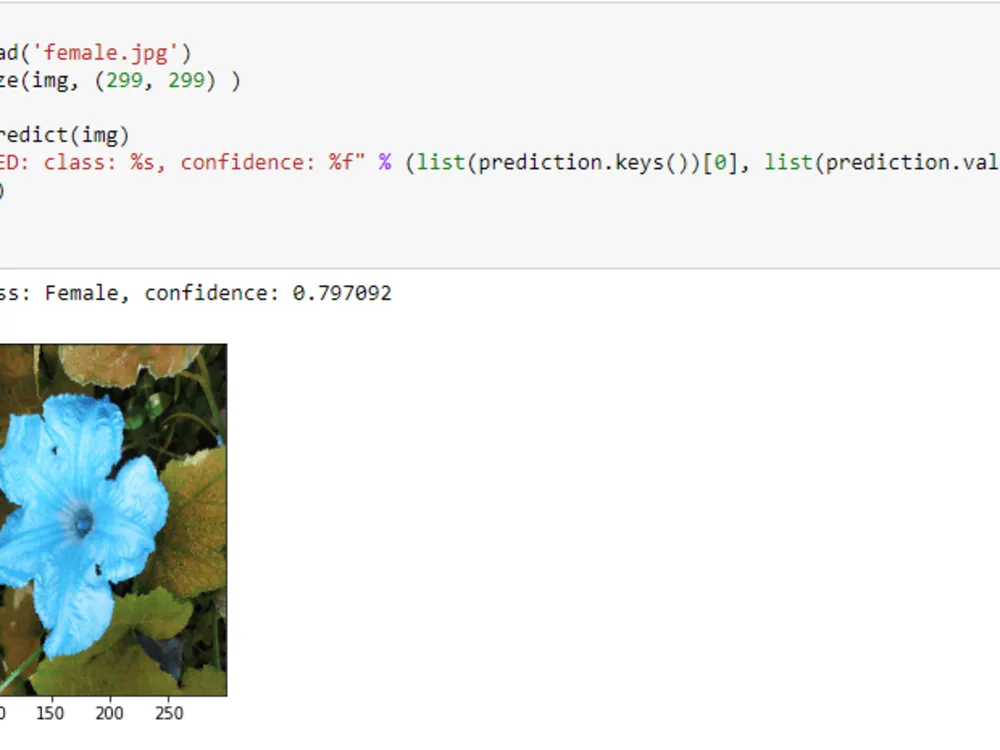 A notebook (Jupyter/Colab) with trained model and graphs | Upwork