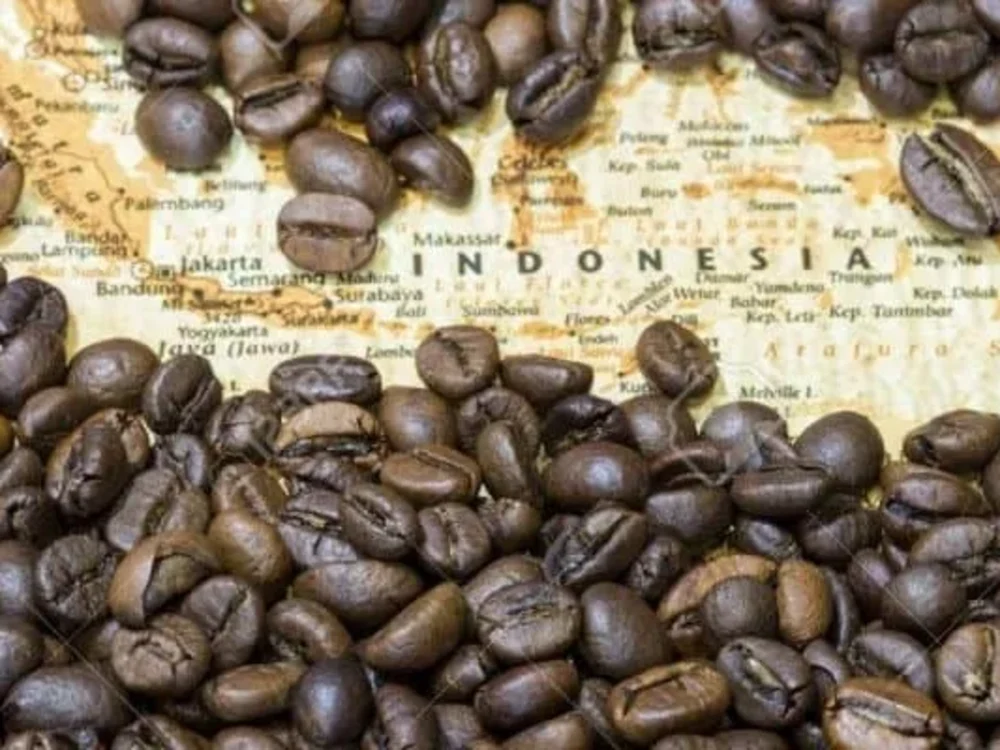 A Guide to Indonesian Coffee | Upwork