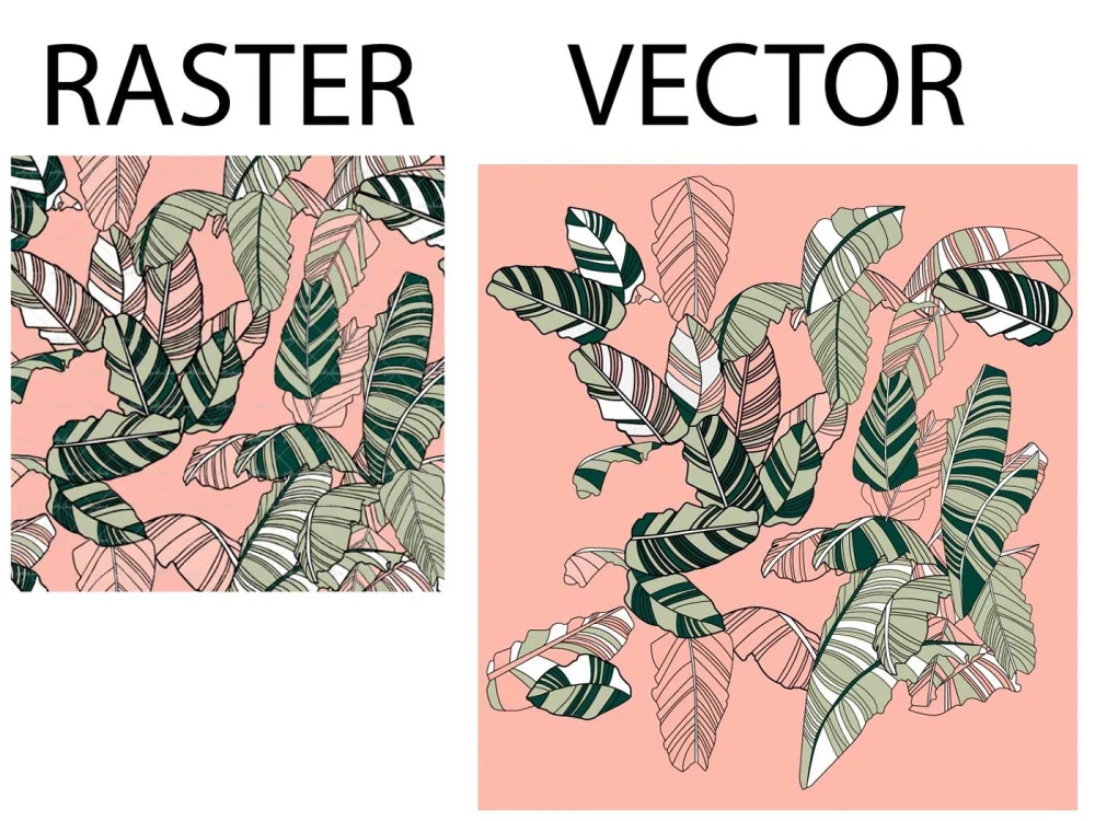 Raster to vector conversion for any image/design. | Upwork