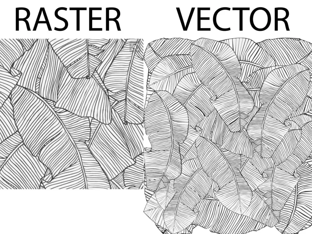 Raster to vector conversion for any image/design. | Upwork