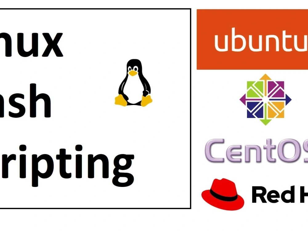 A Linux bash script | Upwork