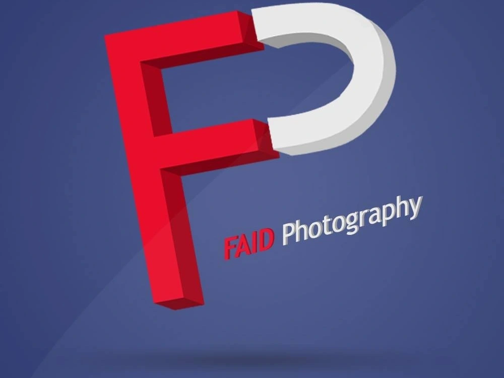 A pro logo design for your brand | Upwork