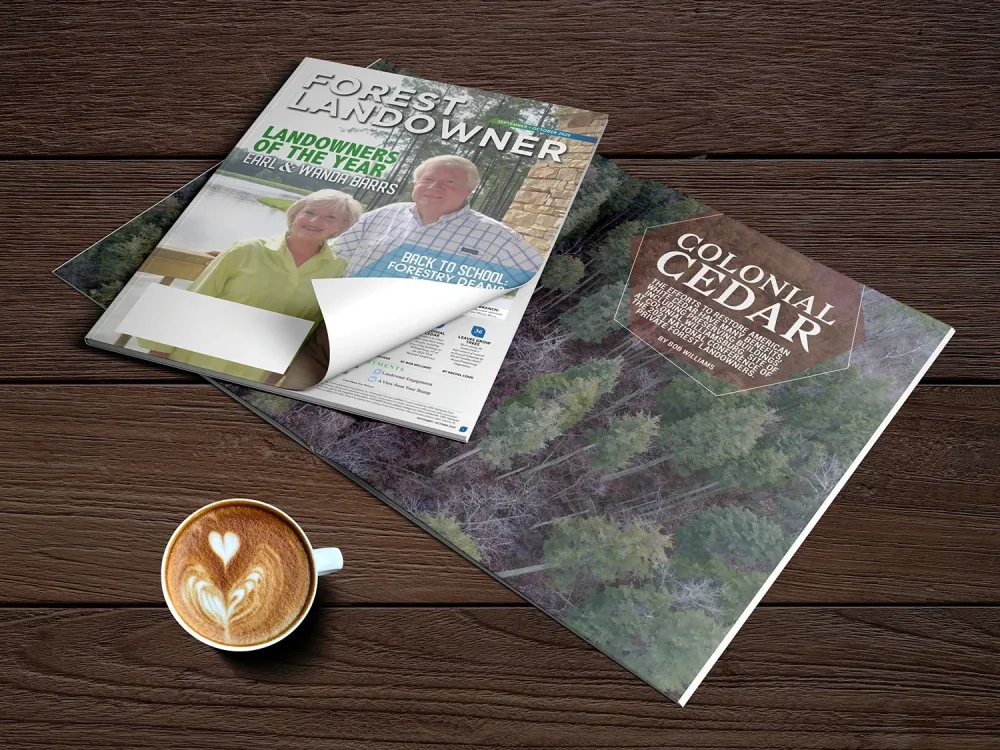 Print Magazine Layout in InDesign and PDF | Upwork