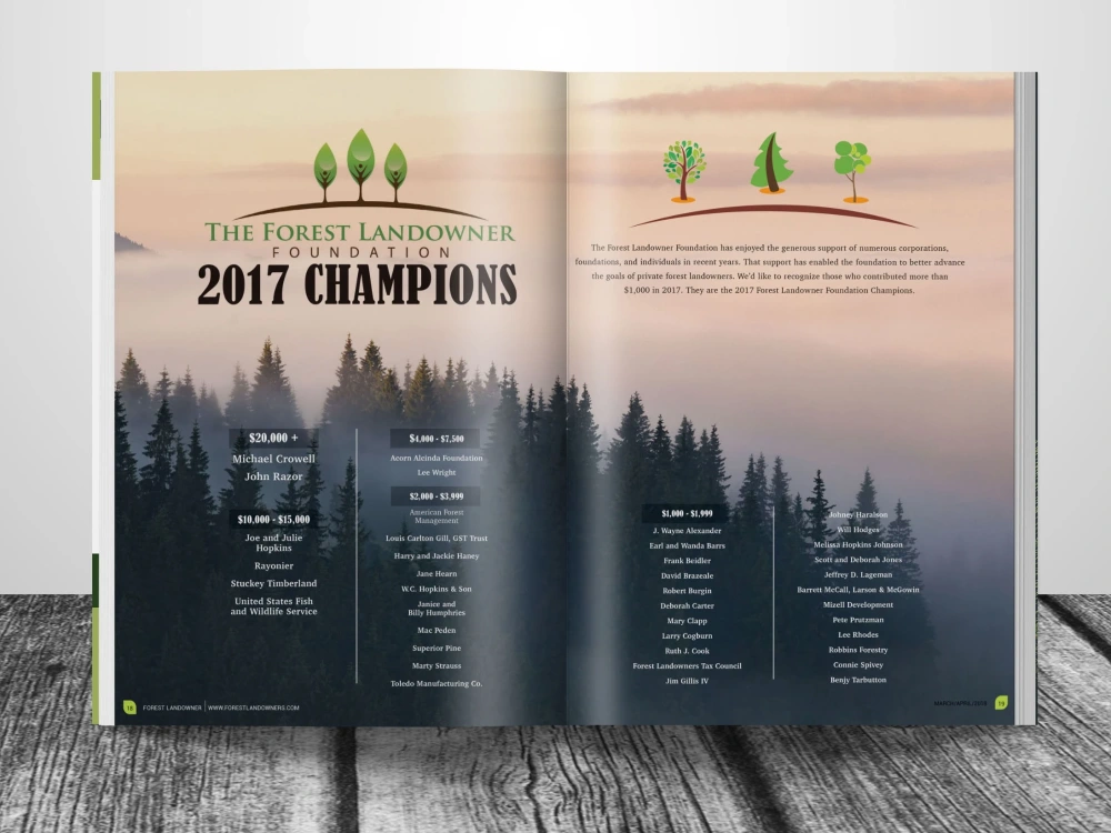 Print Magazine Layout in InDesign and PDF | Upwork