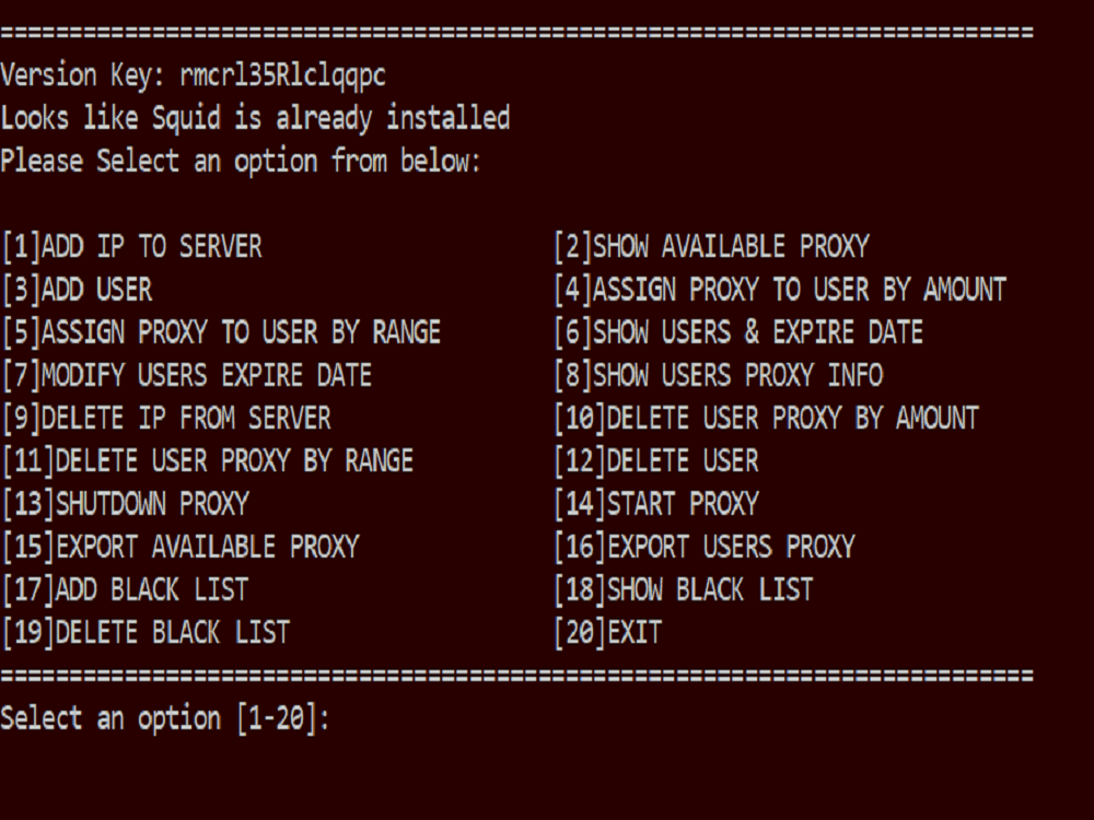 Squid Ipv4 Ipv6 Proxy Management Automated Script Upwork 1862