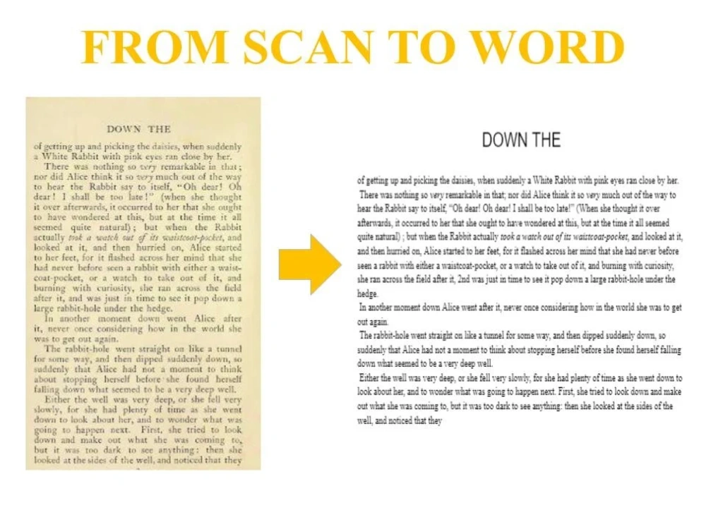 A professional manual typing, copy paste and data entry | Upwork