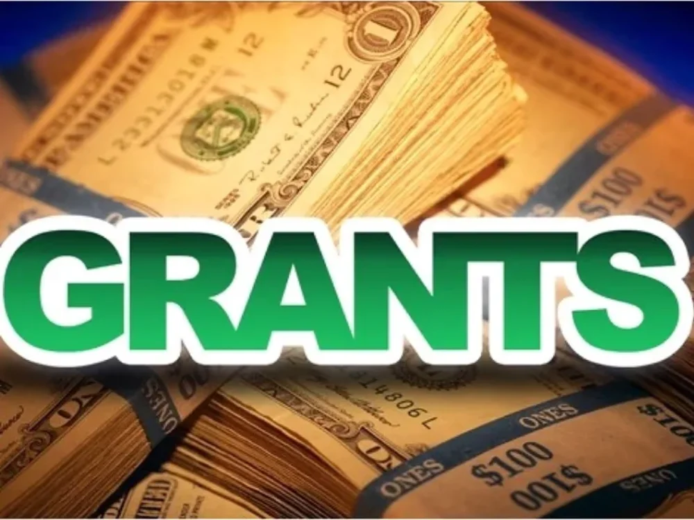 Grant Writer for Winning Grant Research Proposal and Application ...