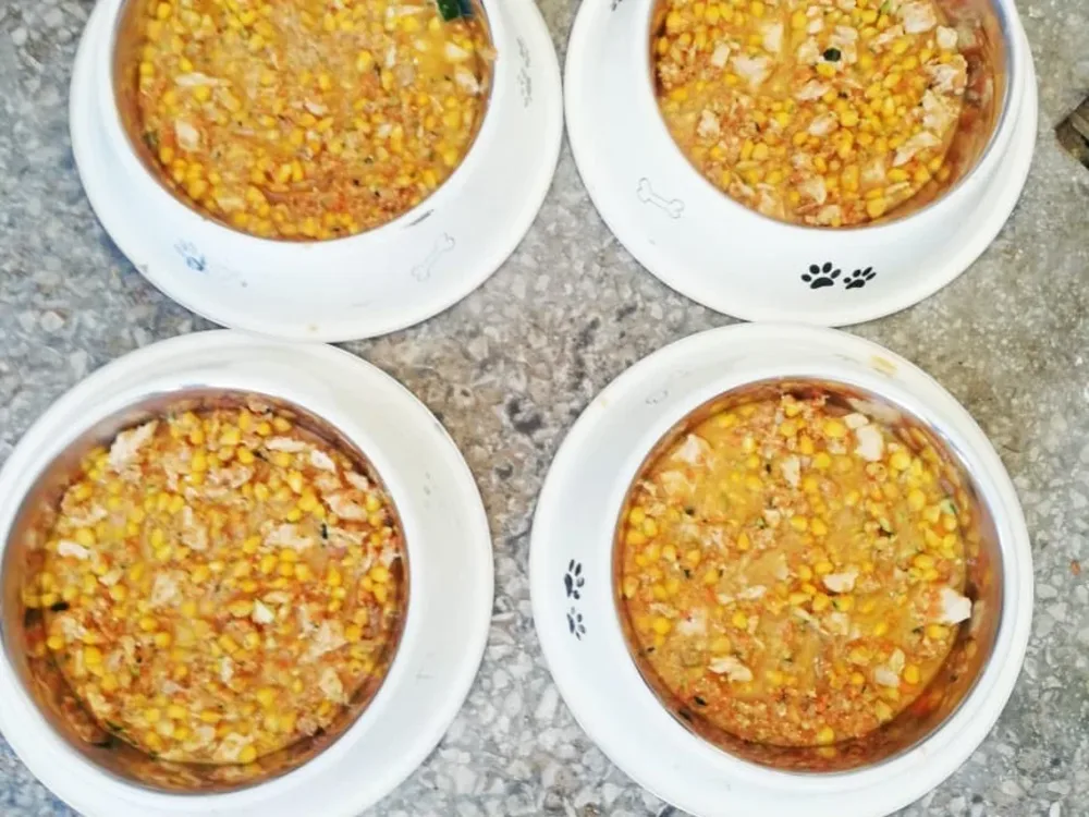 Balanced homemade dog food formulation | Upwork