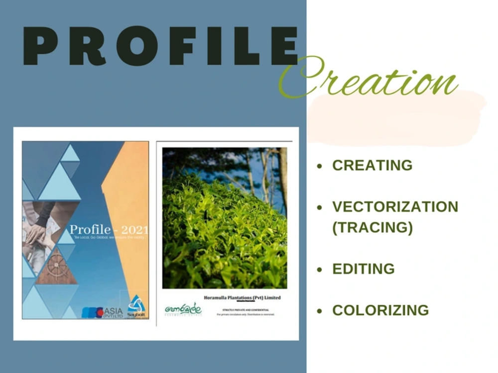 A Business Portfolio (Profile) created | Upwork